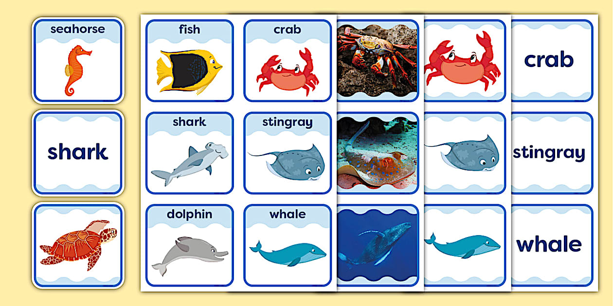 Sea Creature Matching Cards (teacher made) - Twinkl