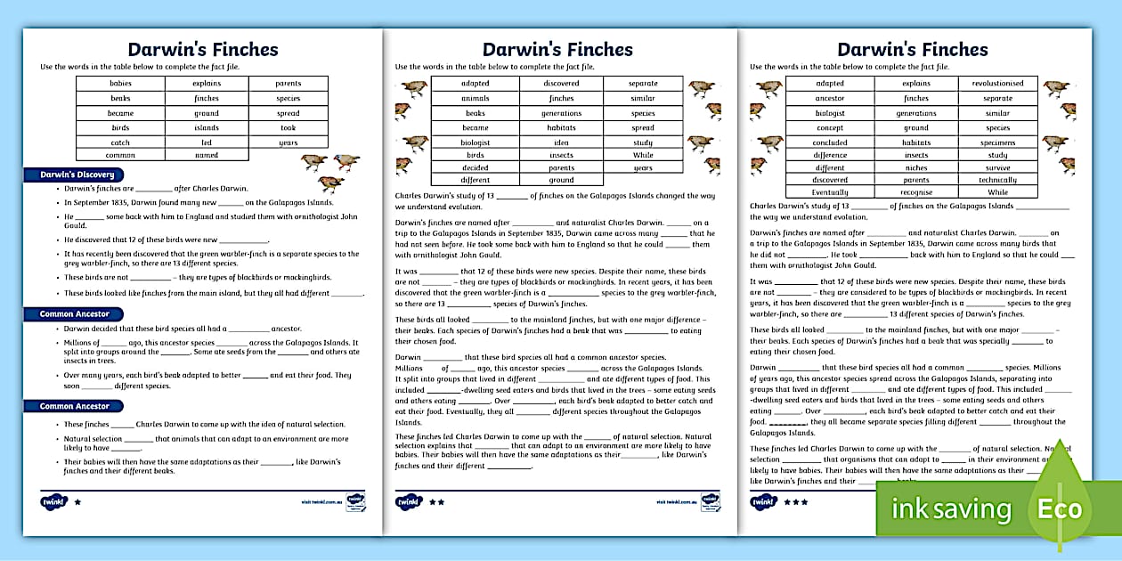Darwin’s Finches Activity Sheets | Twinkl (teacher made)