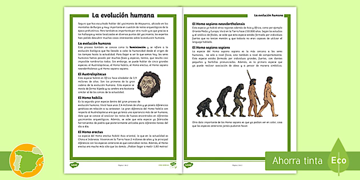 Editable Hoja informativa: La evolución humana - Twinkl