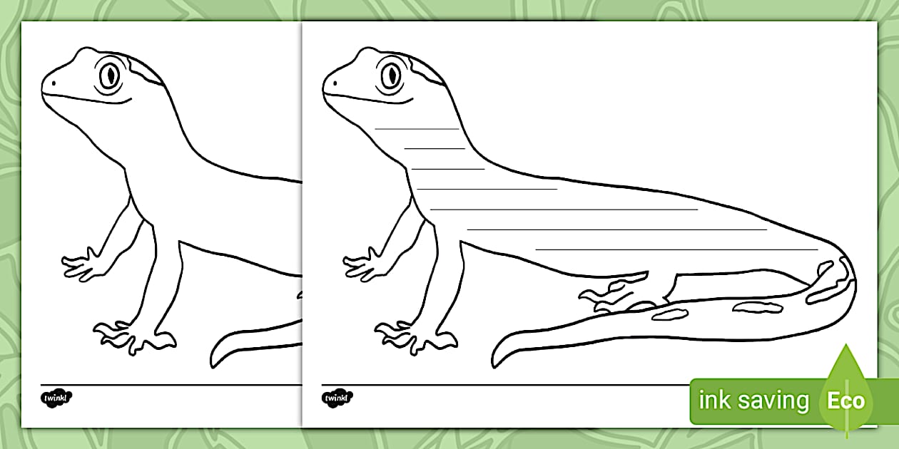 Gecko Writing Template (teacher made) - Twinkl