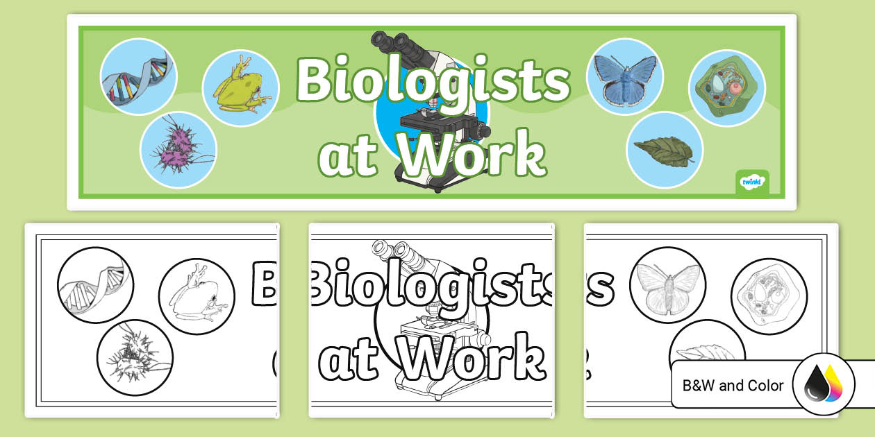 Biologists at Work Banner (teacher made) - Twinkl