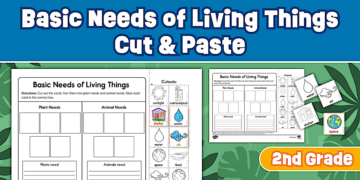 2nd Grade Basic Needs of Living Things Cut & Paste Activity