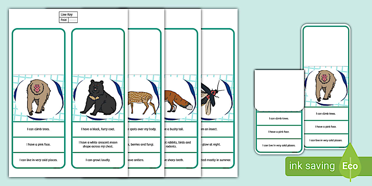 What Am I? Guess the Japanese Animals Game