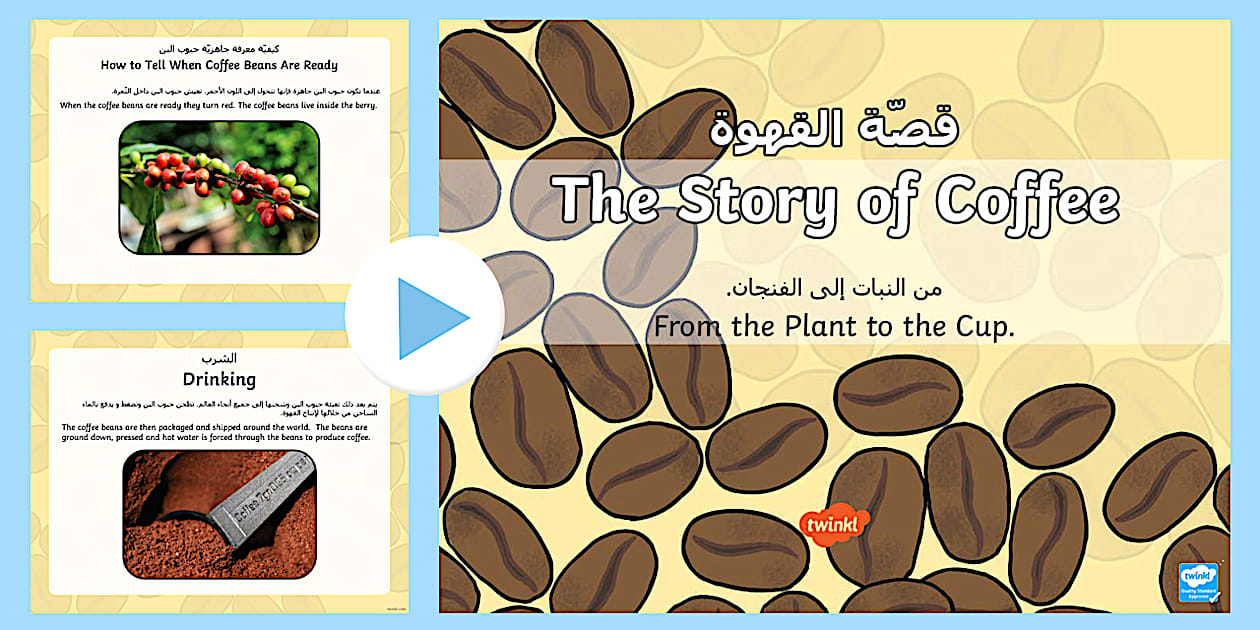 The Story of Coffee PowerPoint - Arabic/English - Twinkl