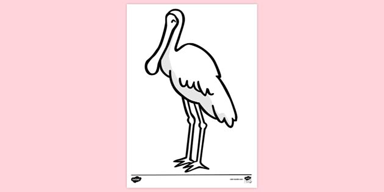 Spoonbill Colouring Page | Colouring Sheets