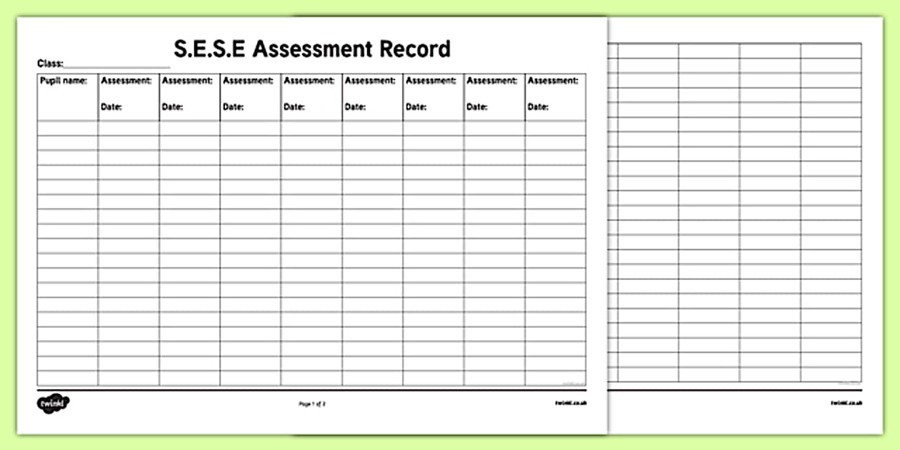 Editable ROI S.E.S.E. Assessment Record Checklist - Twinkl