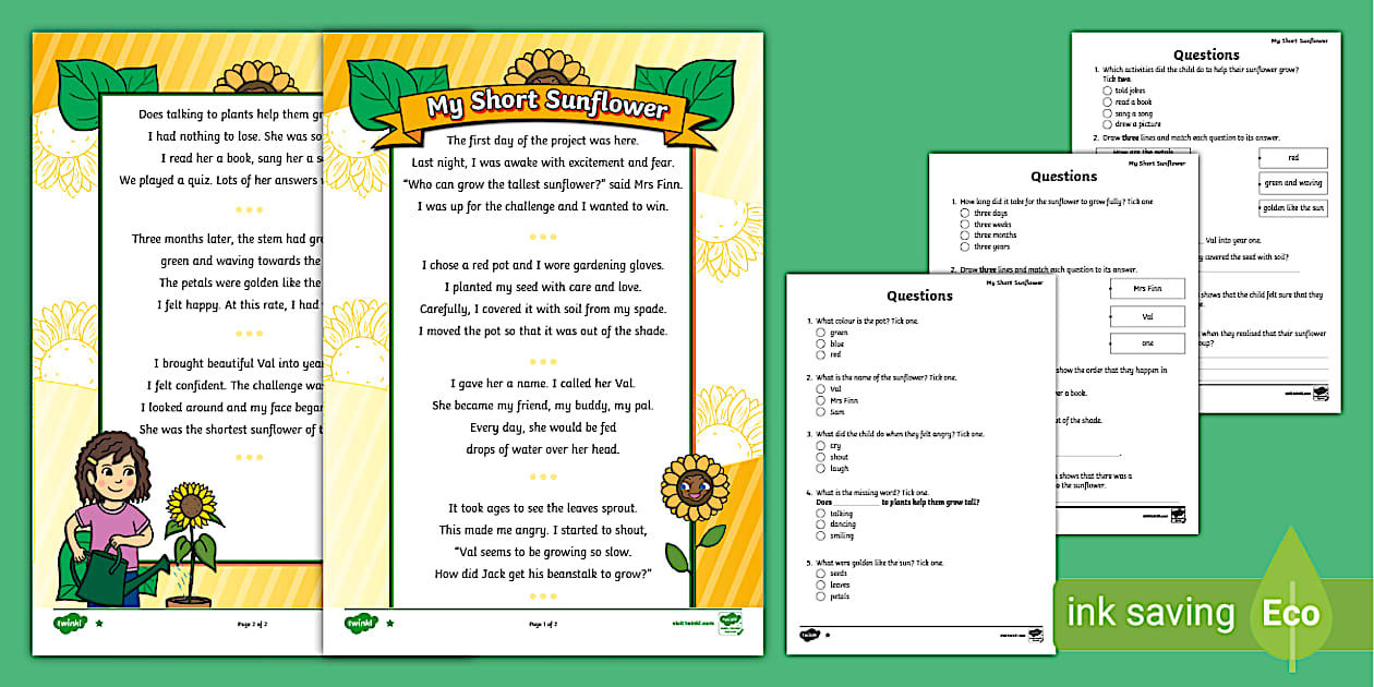 KS1 My Short Sunflower Poem Reading Comprehension