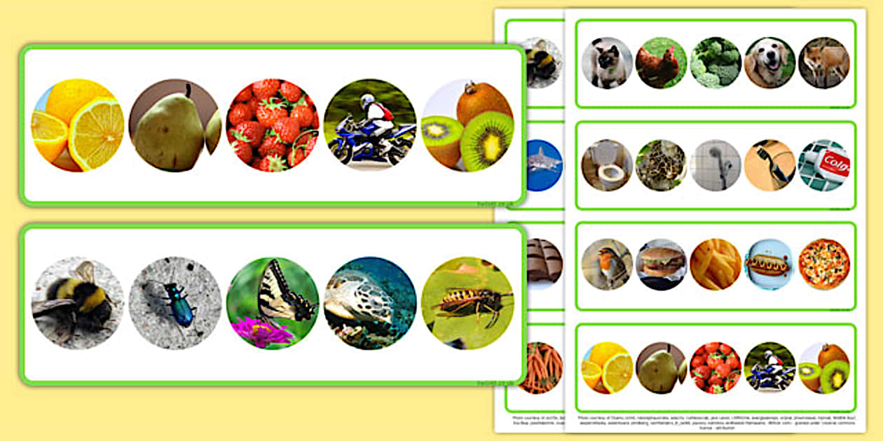 Photo Which One Doesn't Belong Activity - Twinkl