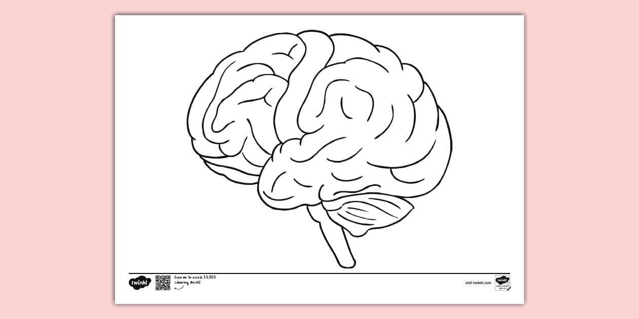 Brain Colouring Sheet | Colouring Sheets - Twinkl