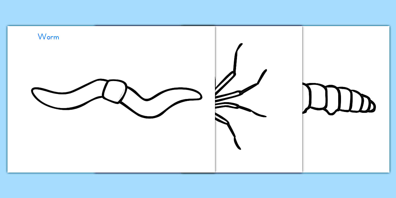 Minibeasts Colouring Pages Detailed (teacher made) - Twinkl