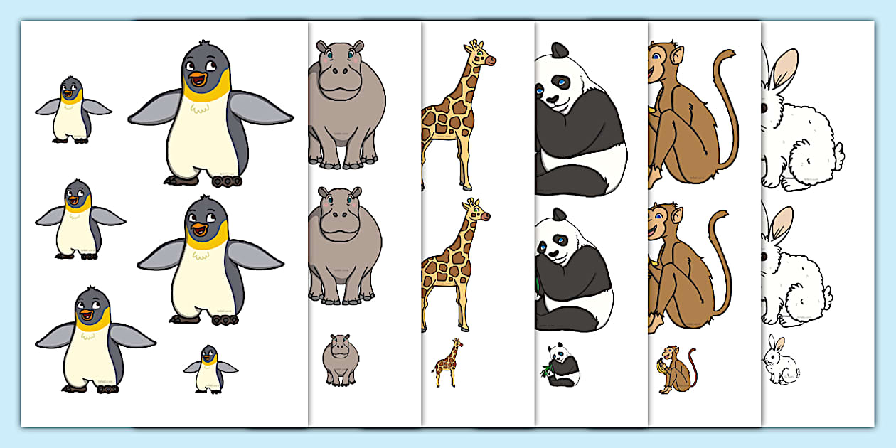 Animal Size Ordering (teacher made) - Twinkl