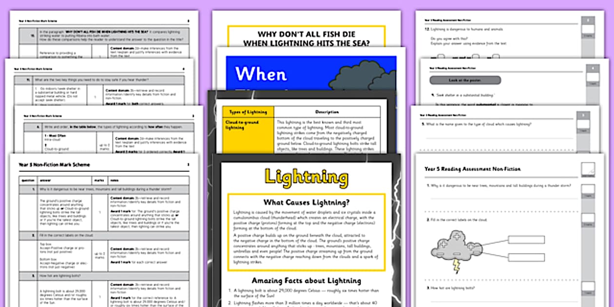 Year 5 Term 1 Non-Fiction Reading Assessment - Twinkl