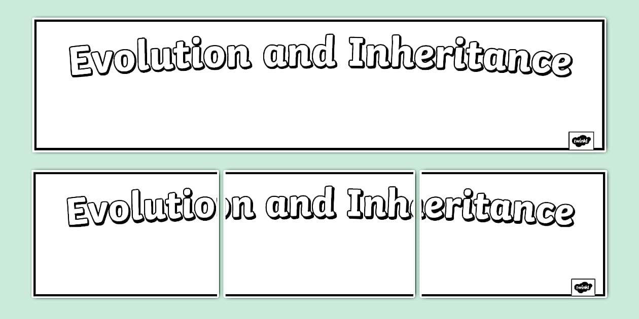 Evolution and Inheritance Collaborative Drawing Display Banner