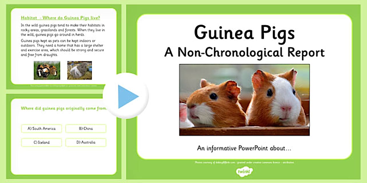 Non-Chronological Report Examples – Reading – Twinkl