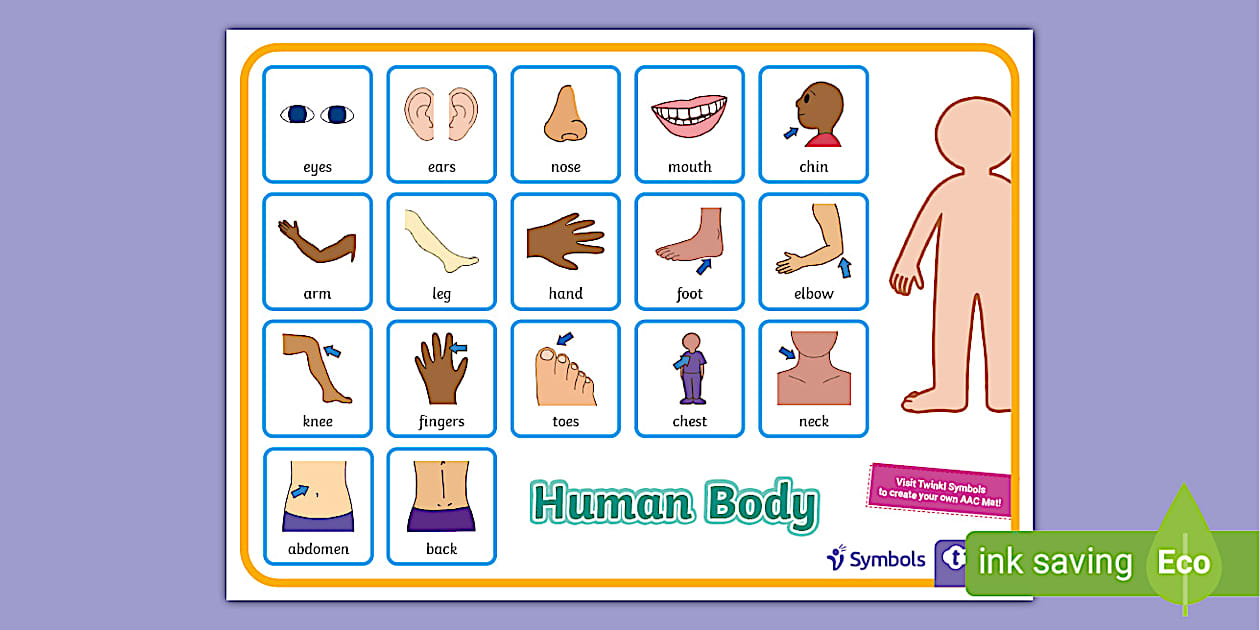 Twinkl Symbols: Human Body AAC Mat - Twinkl
