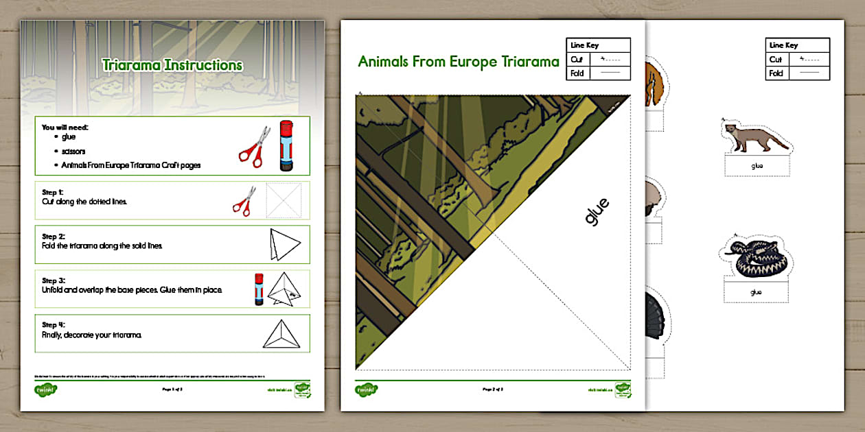 Animals From Europe Triarama (teacher made) - Twinkl