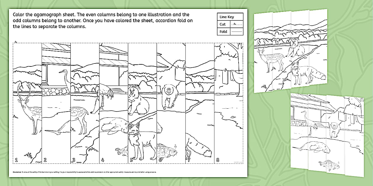 Animals from Japan Agamograph - Arts and Crafts - Twinkl