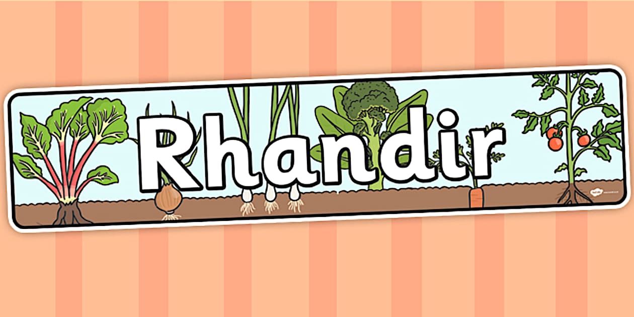 Allotment Themed Banner Welsh (teacher made) - Twinkl