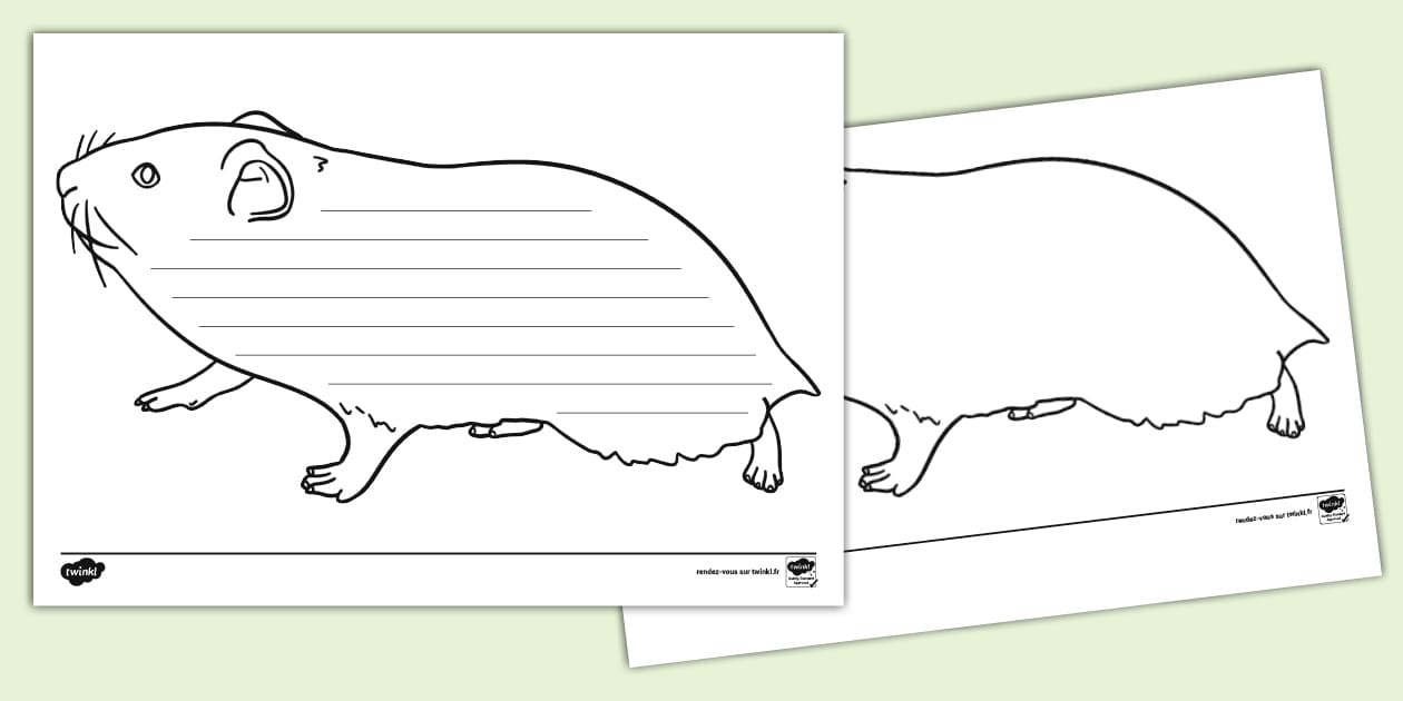 Modèle d'écriture : Un hamster (teacher made) - Twinkl