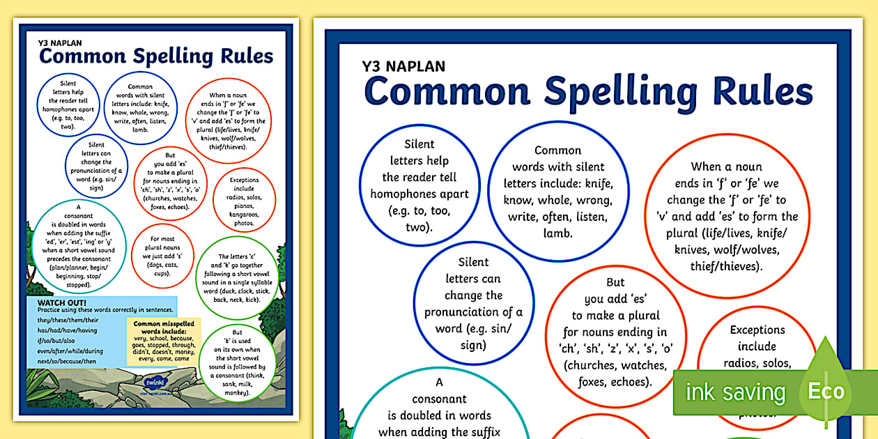 Y3 NAPLAN Common Spelling Rules Poster (teacher made)