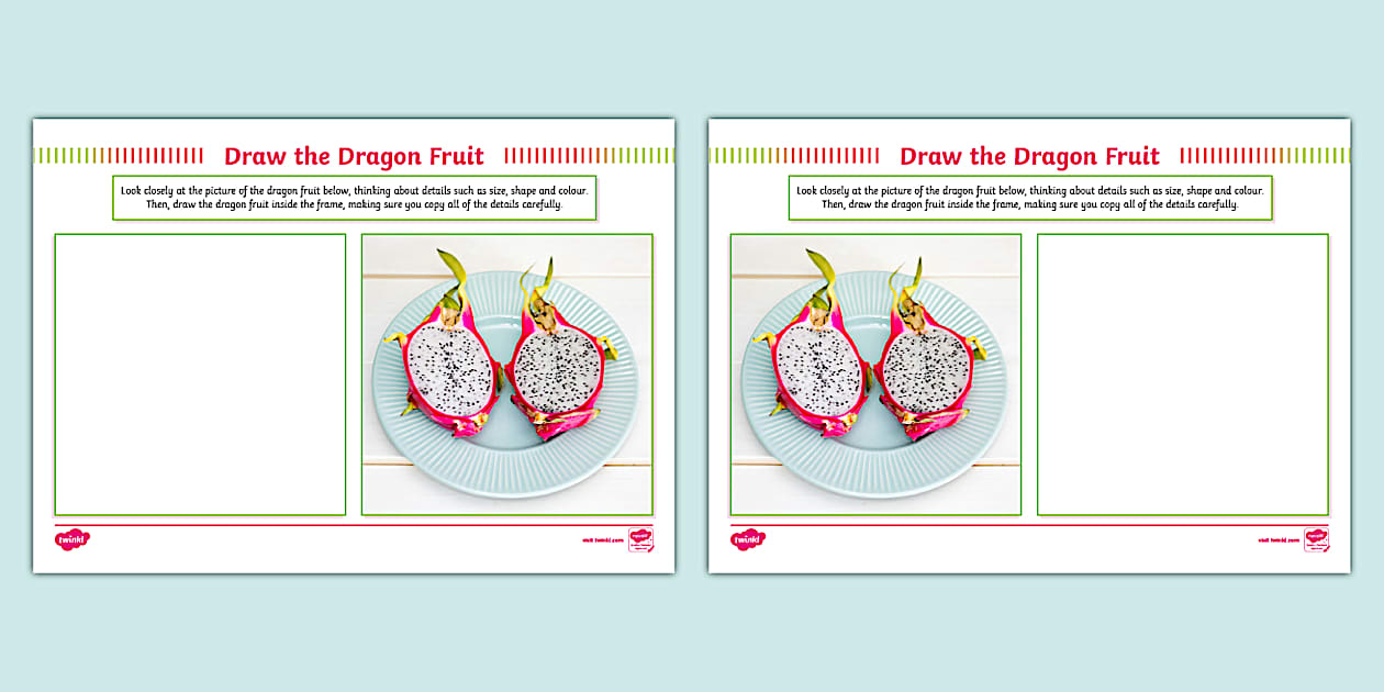 Draw the Dragon Fruit Worksheet (teacher made) - Twinkl
