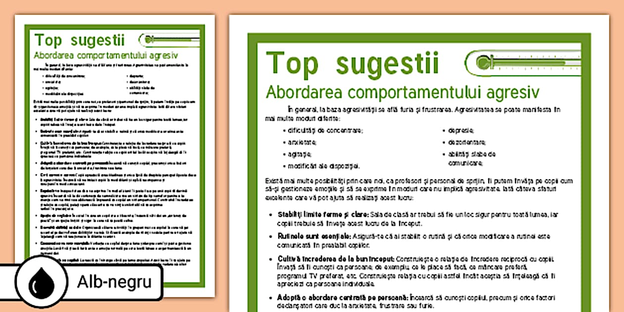Sugestii pentru abordarea comportamentului agresiv – Ghid