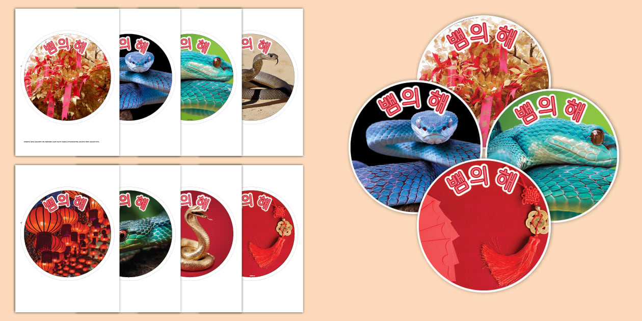 뱀의 해 컷 아웃 | Year of the Snake Circle Display Photo Cut-Outs