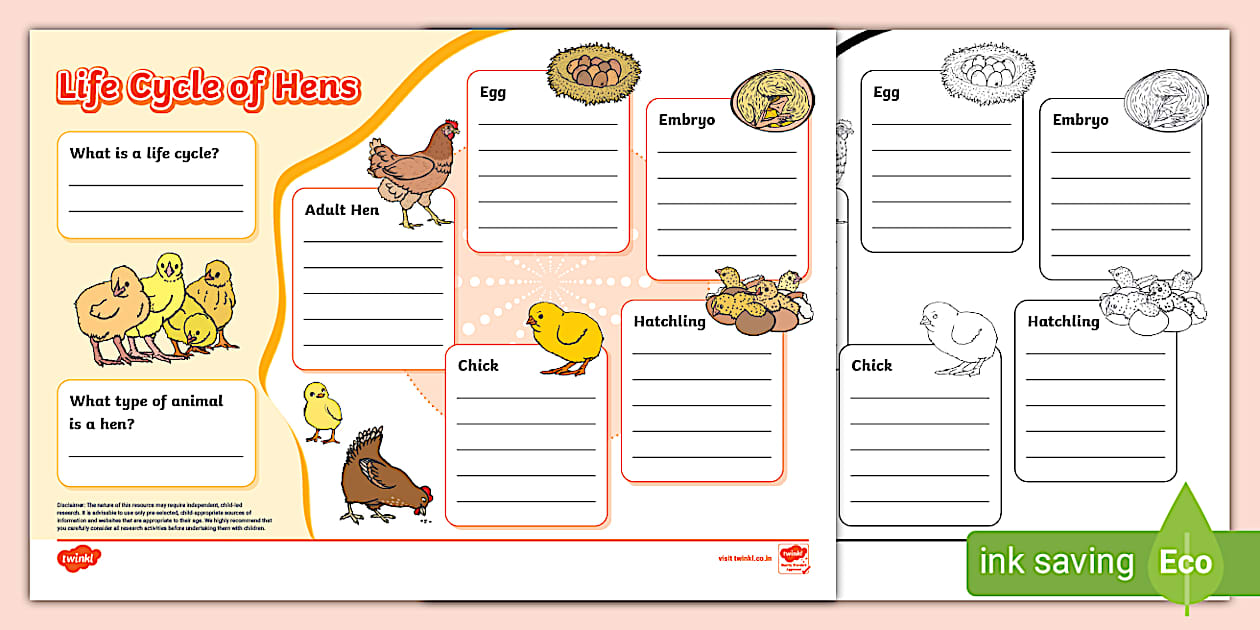 Life Cycle of Hens Fact File Template (creat de profesori)