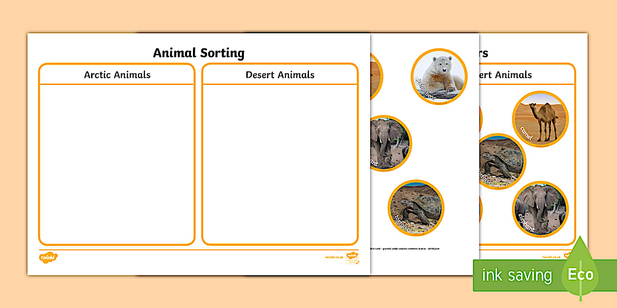 Editable Animal Sorting Activity (professor feito) - Twinkl
