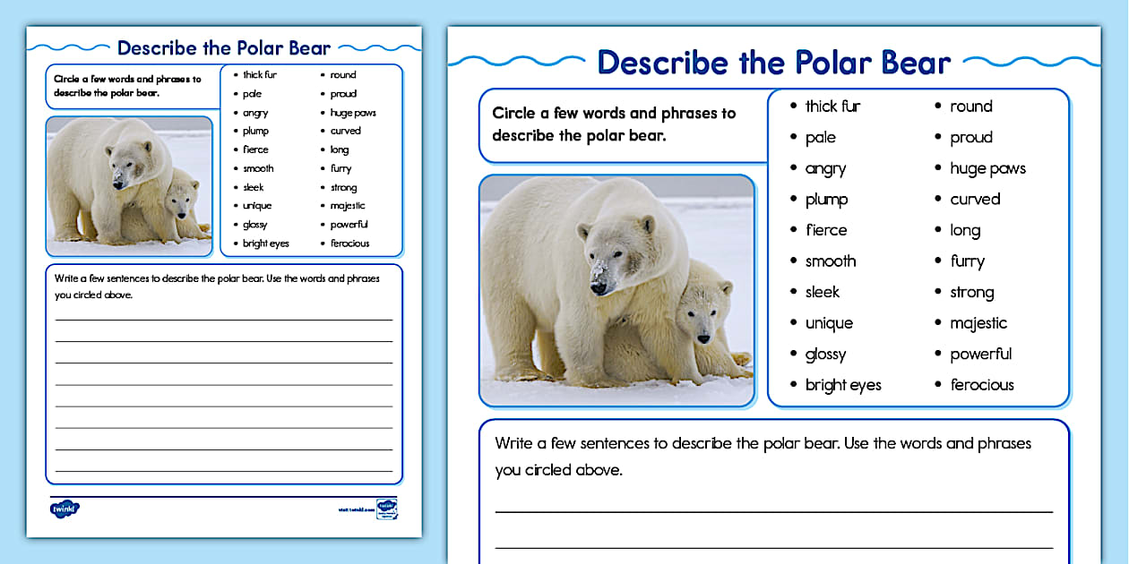 Polar Bear Description Activity Worksheet | Animals | Twinkl USA