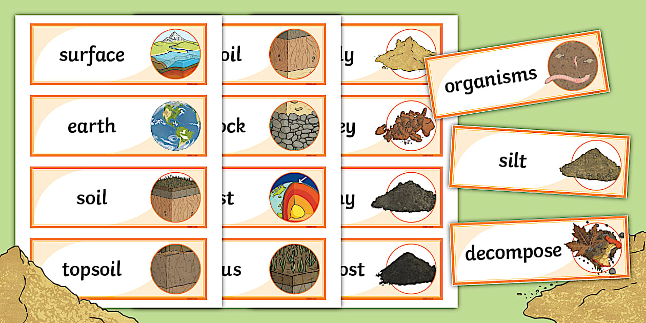 Gr. 5 NS: Surface of the Earth: Soil Types: Word Cards