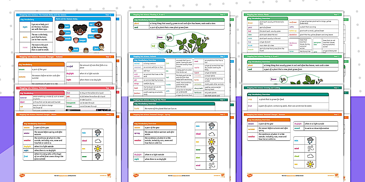 White Rose Science Supporting: Year 1: Knowledge Organiser Pack
