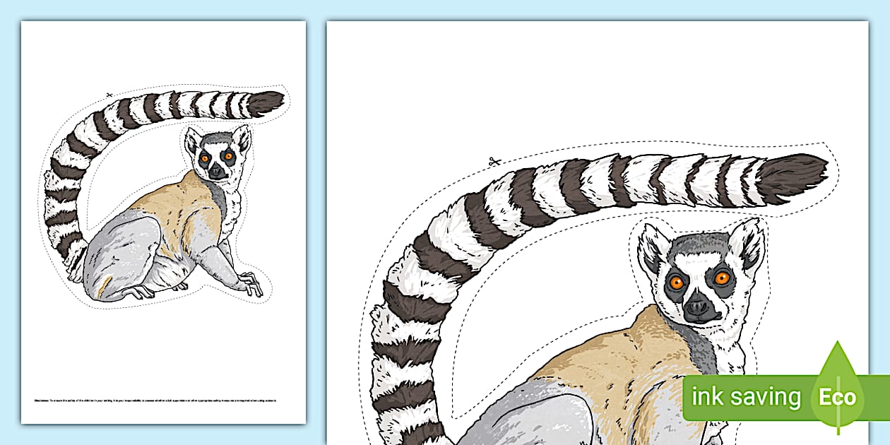 Ring-Tailed Lemur Display Cut Out (teacher made) - Twinkl