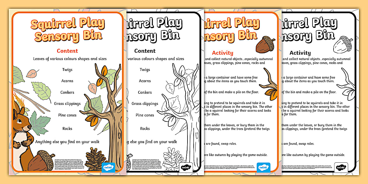 Squirrel Play Sensory Bin and Prompt Card Pack - Twinkl