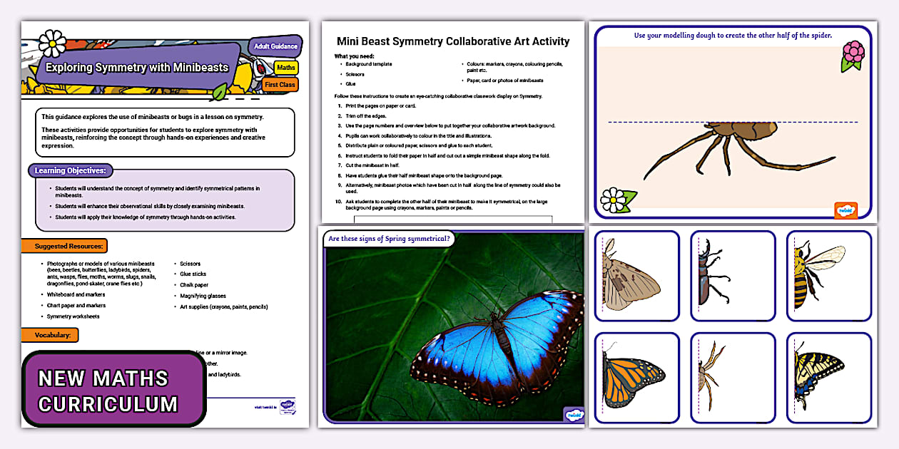 Minibeast Symmetry Resource Pack - Twinkl