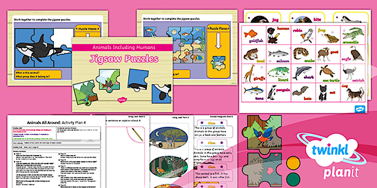 Guided Reading About Mammals For KS1 | Year 1 English