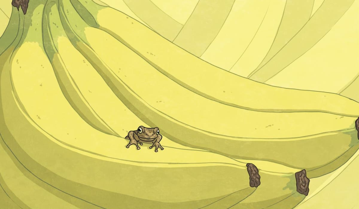 African Frog Found in School Bananas - Twinkl NewsRoom