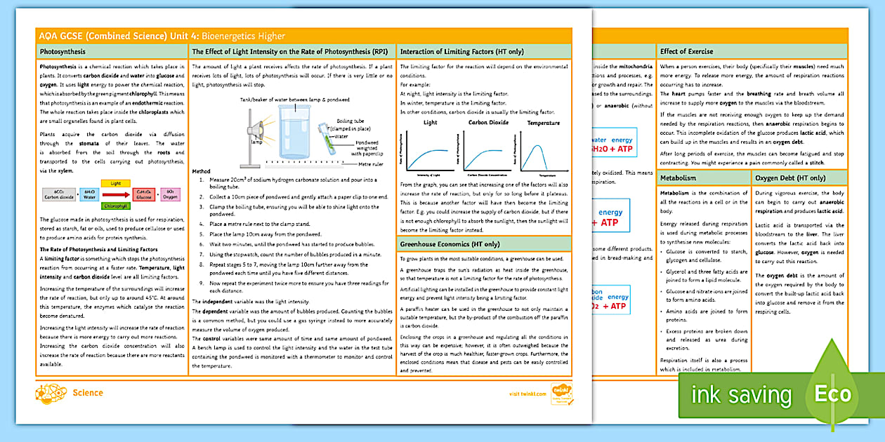 Bioenergetics Knowledge Organiser | AQA Science | Beyond
