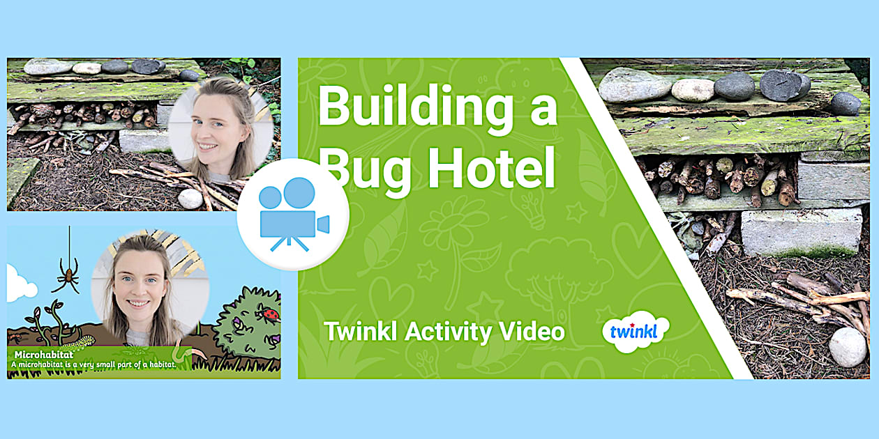 KS1 (Ages 5-7) Activity Video: Bug Hotel (teacher made)