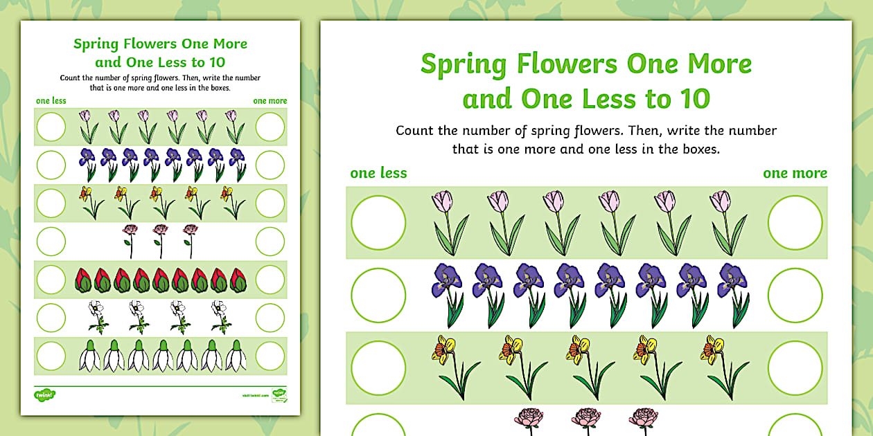 👉 Spring Flowers One More and One Less to 10 Activity | Twinkl