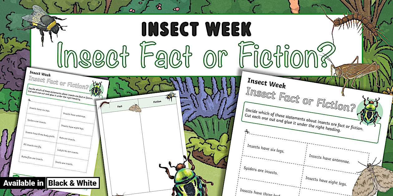 Insect Fact or Fiction? Activity Sheet