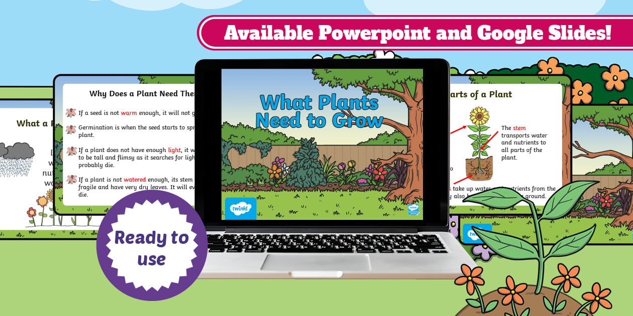 What Plants Need to Grow PowerPoint