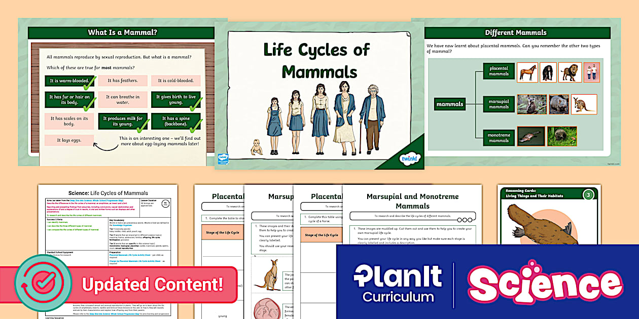 Science: LTaTH: Life Cycles of Mammals: Y5 L3 (teacher made)
