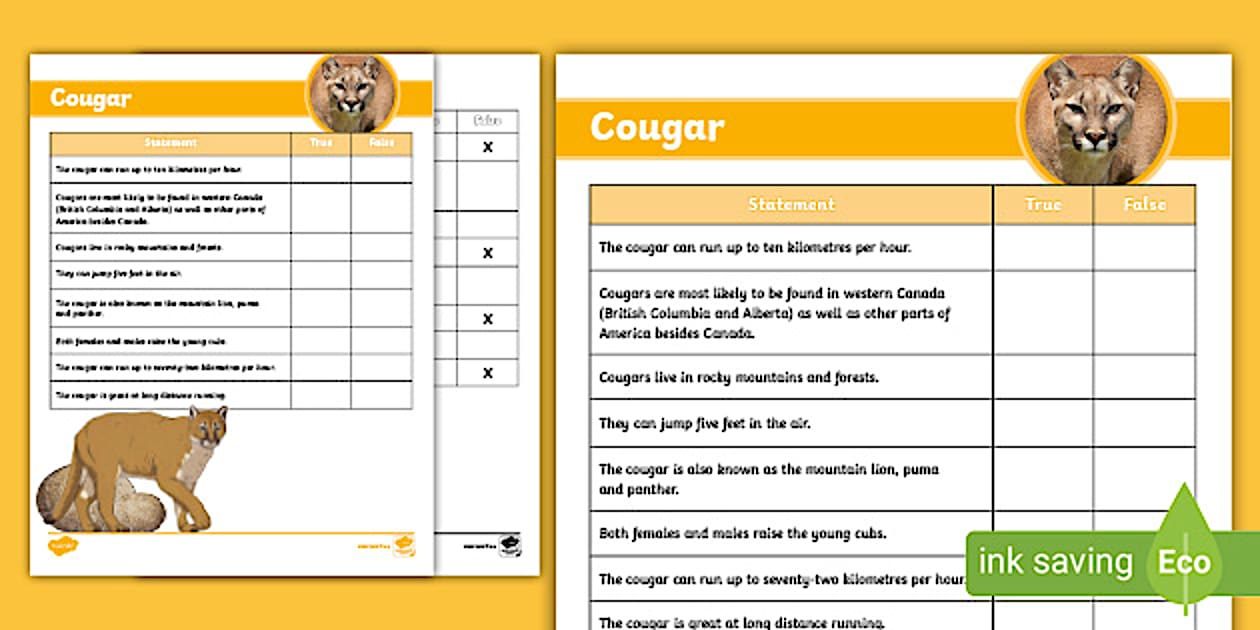 Cougar True or False Activity (teacher made) - Twinkl