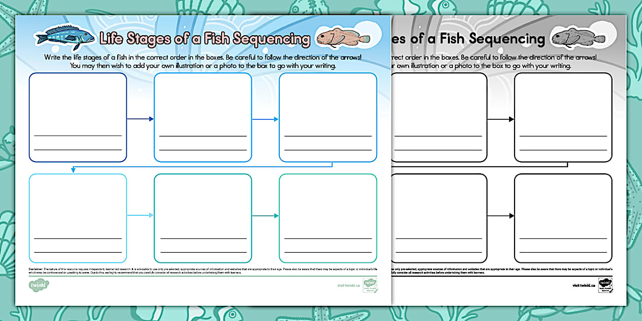 Life Stages of a Fish Sequencing Mind Map - Twinkl