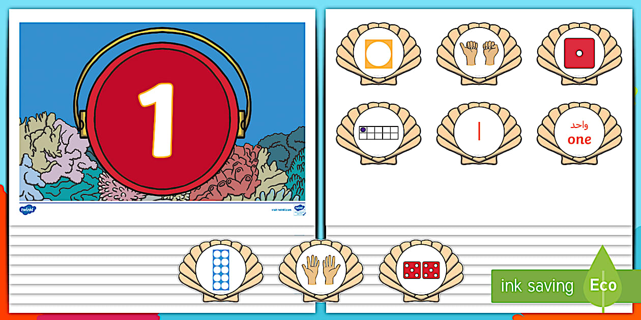 Seashells Representing Numbers to 10 Sorting Activity Shape Sorting ...