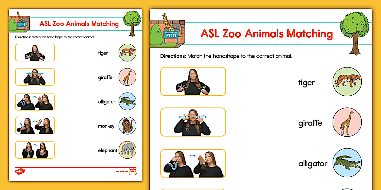ASL Zoo Animals Matching Worksheet (teacher made) - Twinkl
