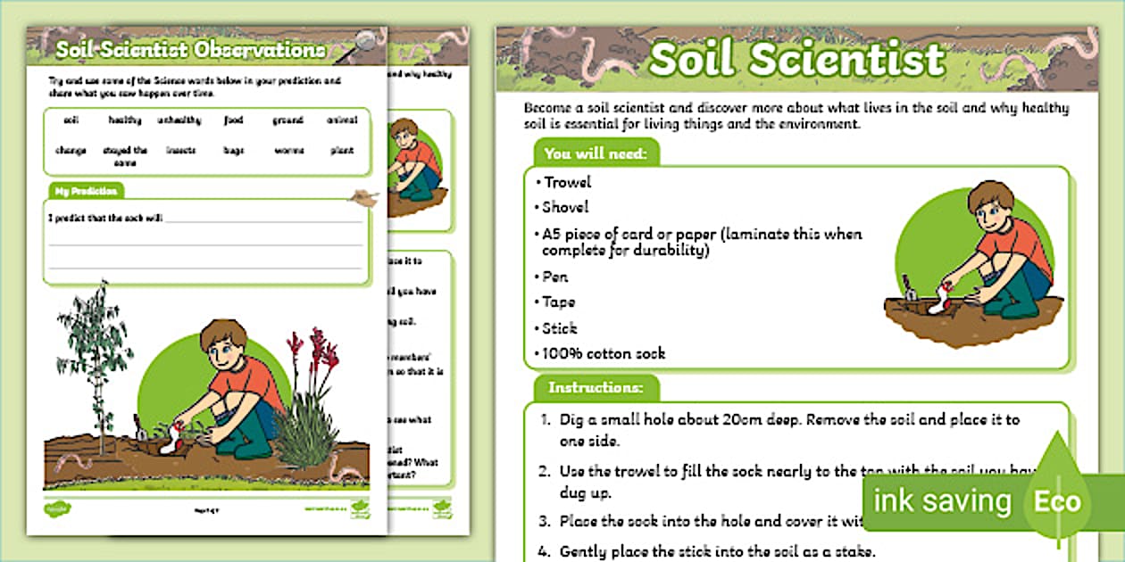 Soil Scientist STEM Activity (Teacher-Made) - Twinkl