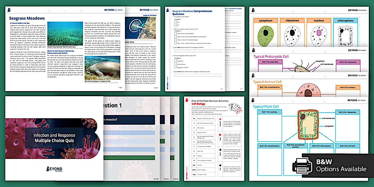 Biology Activity Pack (teacher made) - Twinkl
