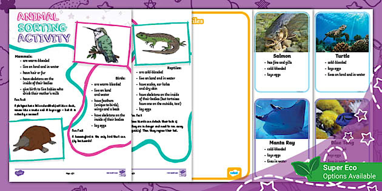 Animal Sorting Activity (Ages 5 - 6) (teacher made) - Twinkl